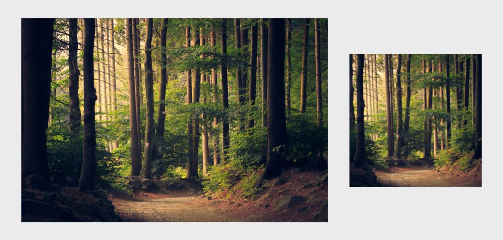 Cara Crop Gambar Di Laravel | Bahasaweb.com Cara Crop Gambar Di Laravel | Bahasaweb.com